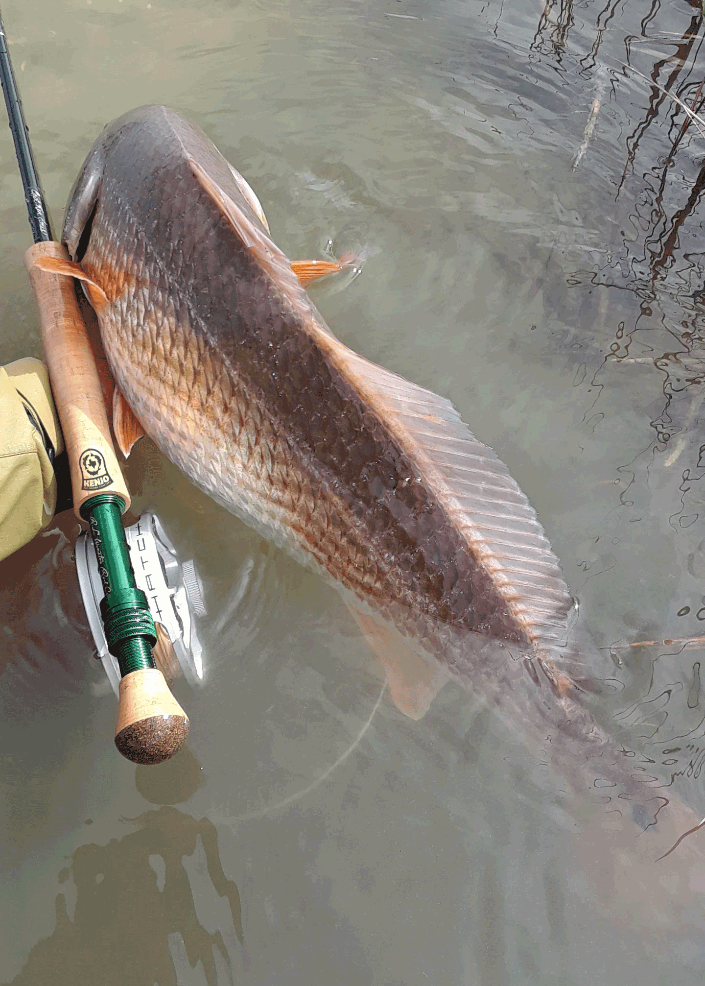 Summer Redfish Trips - Kenjo Fly Fishing Charters